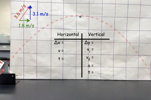 Curriculum Topic Pages