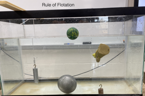 Curriculum Topic Pages