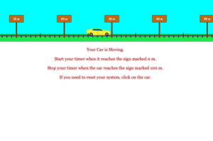 Information About The Program